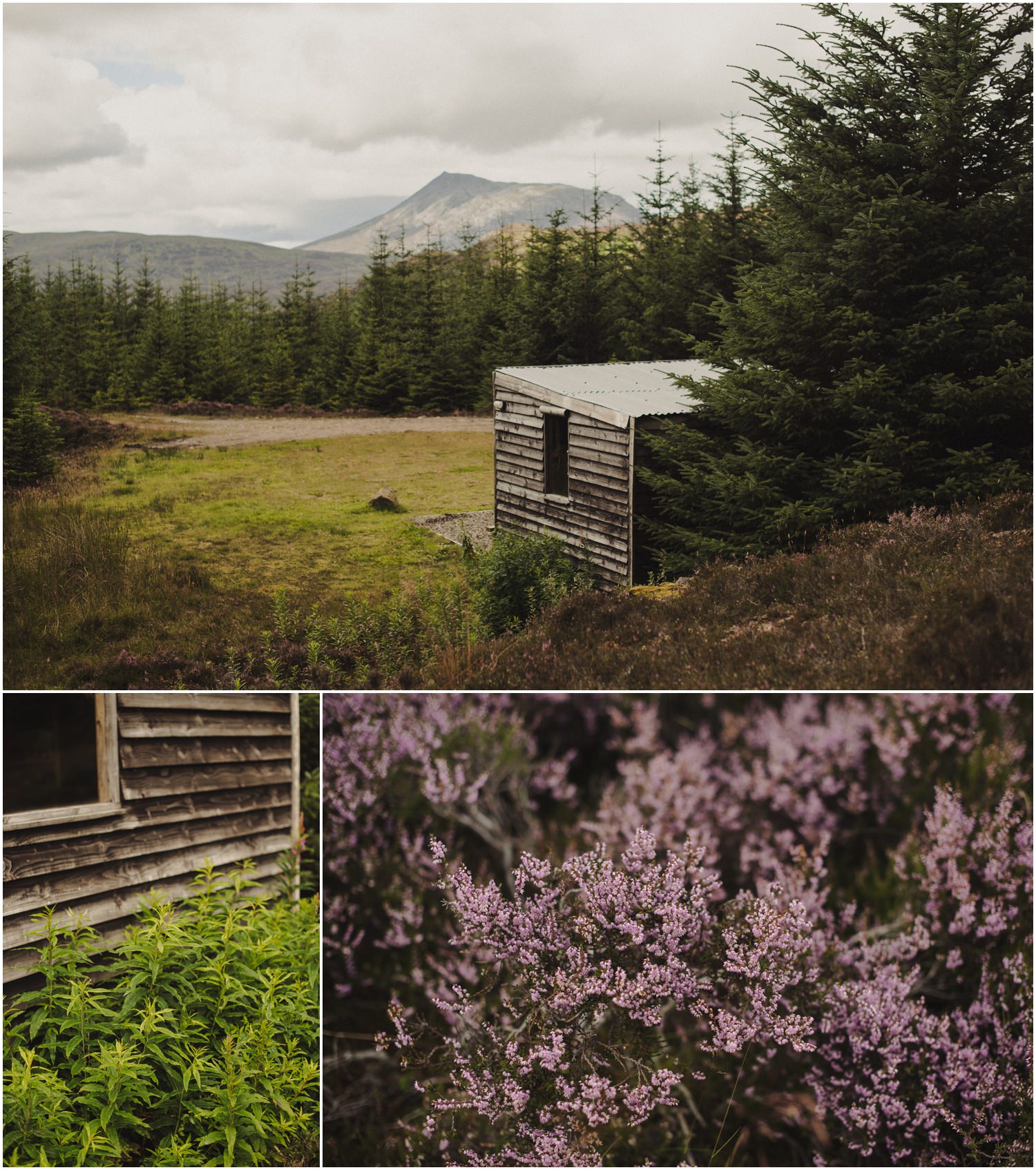 Small wedding in Scotland ideas